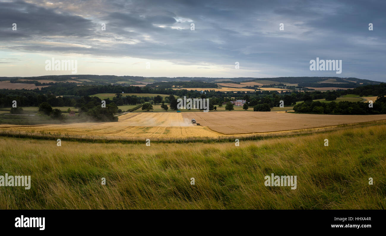 The Kent Downs, an Area of Outstanding Natural Beauty nr Godmersham, Kent Stock Photo - Alamy