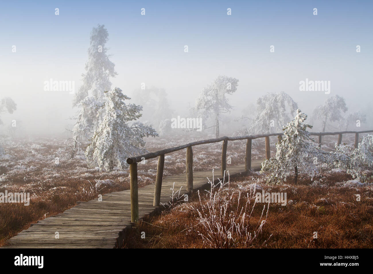 the way through the bog Stock Photo - Alamy