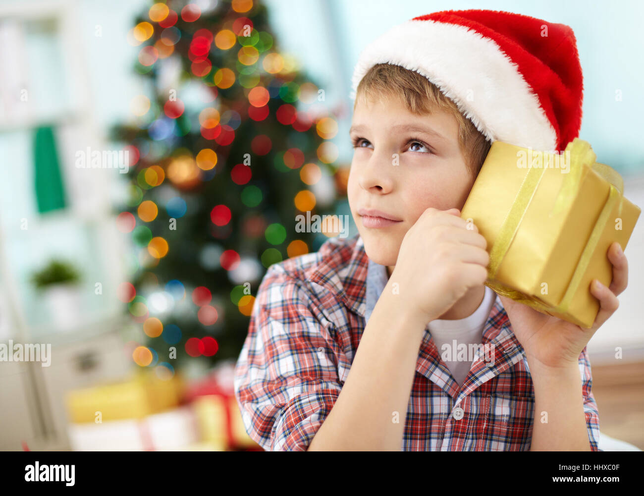 humans, human beings, people, folk, persons, human, human being ...