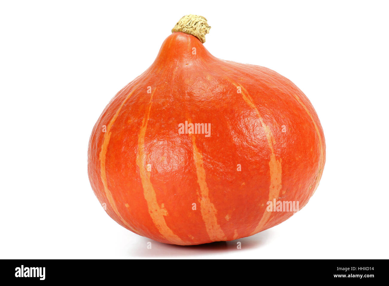 Uchiki kuri squash hi-res stock photography and images - Alamy