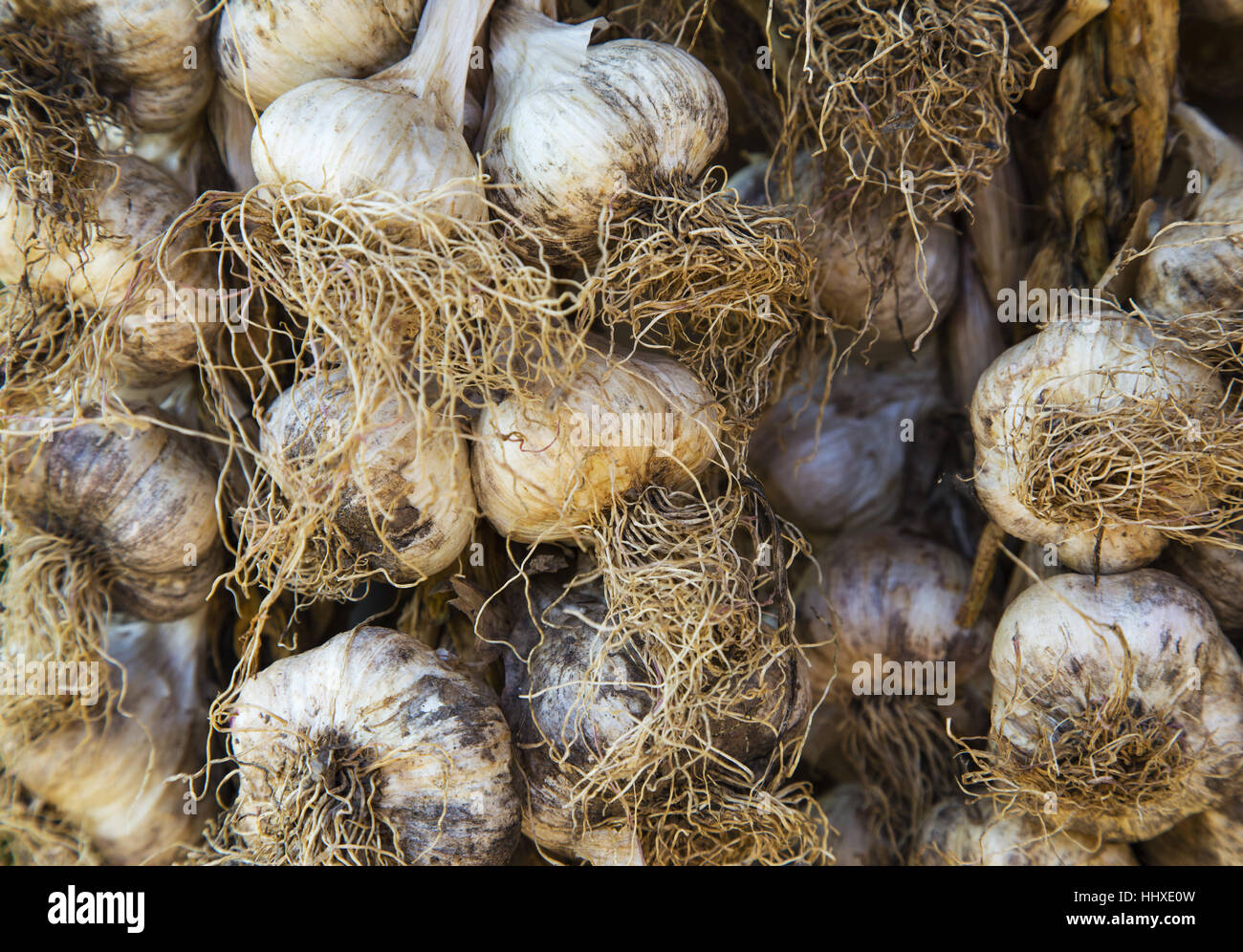 Plait of garlic hi-res stock photography and images - Alamy