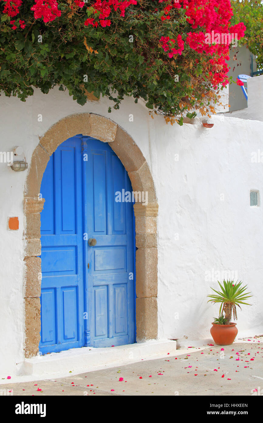 greece, flower, flowers, plant, idyll, house, building, plant, holiday ...