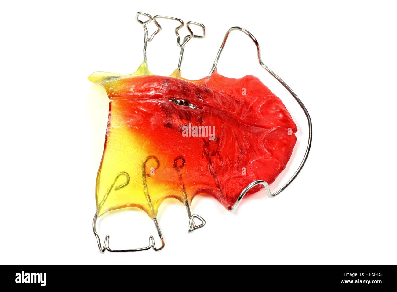 Maxilla hi-res stock photography and images - Alamy