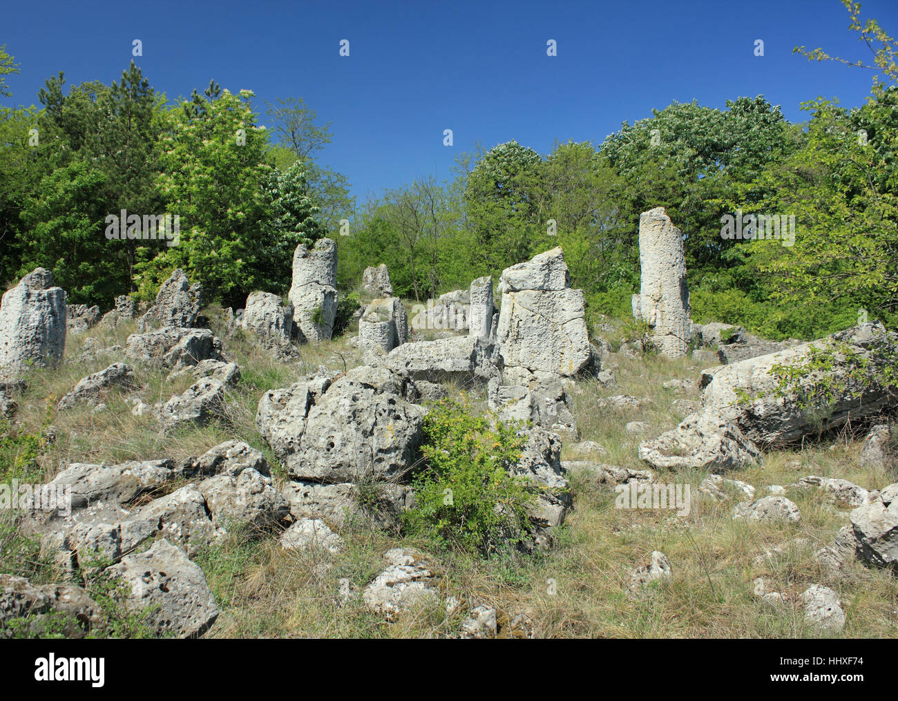 Stone field phenomenon Stock Photo - Alamy