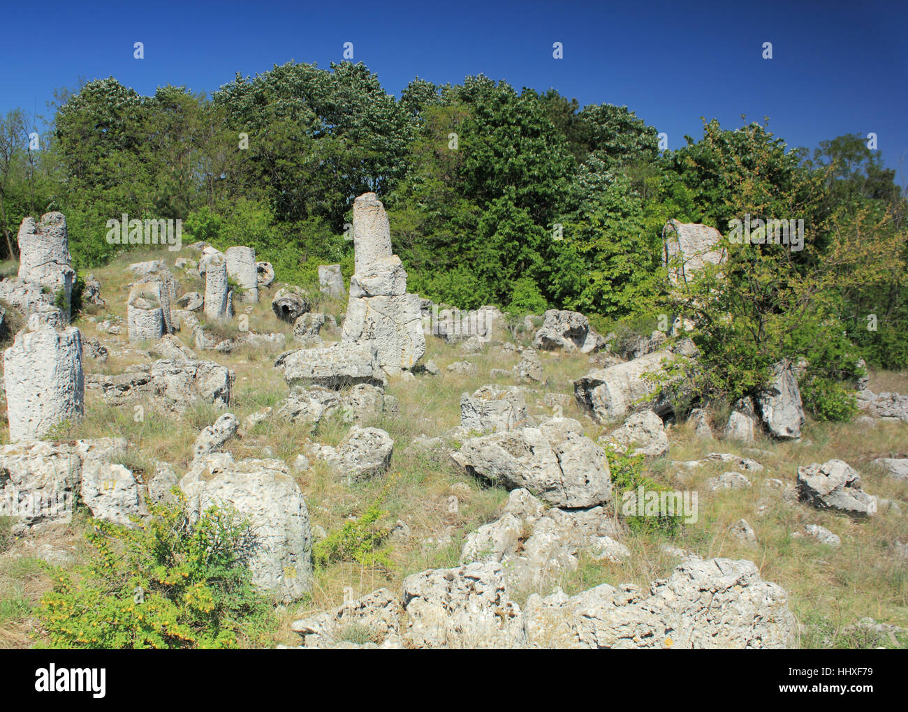 Stone field phenomenon Stock Photo - Alamy