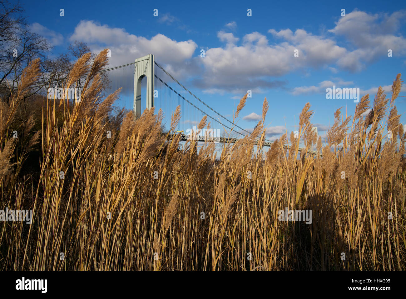 SV Deep Peace on the Sassafras River in December Stock Photo - Alamy