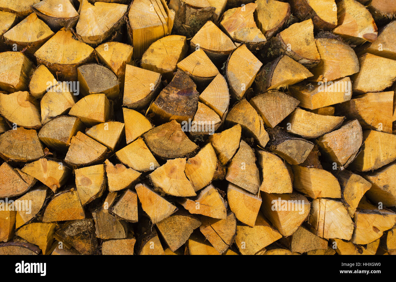 Timber cut hi-res stock photography and images - Alamy