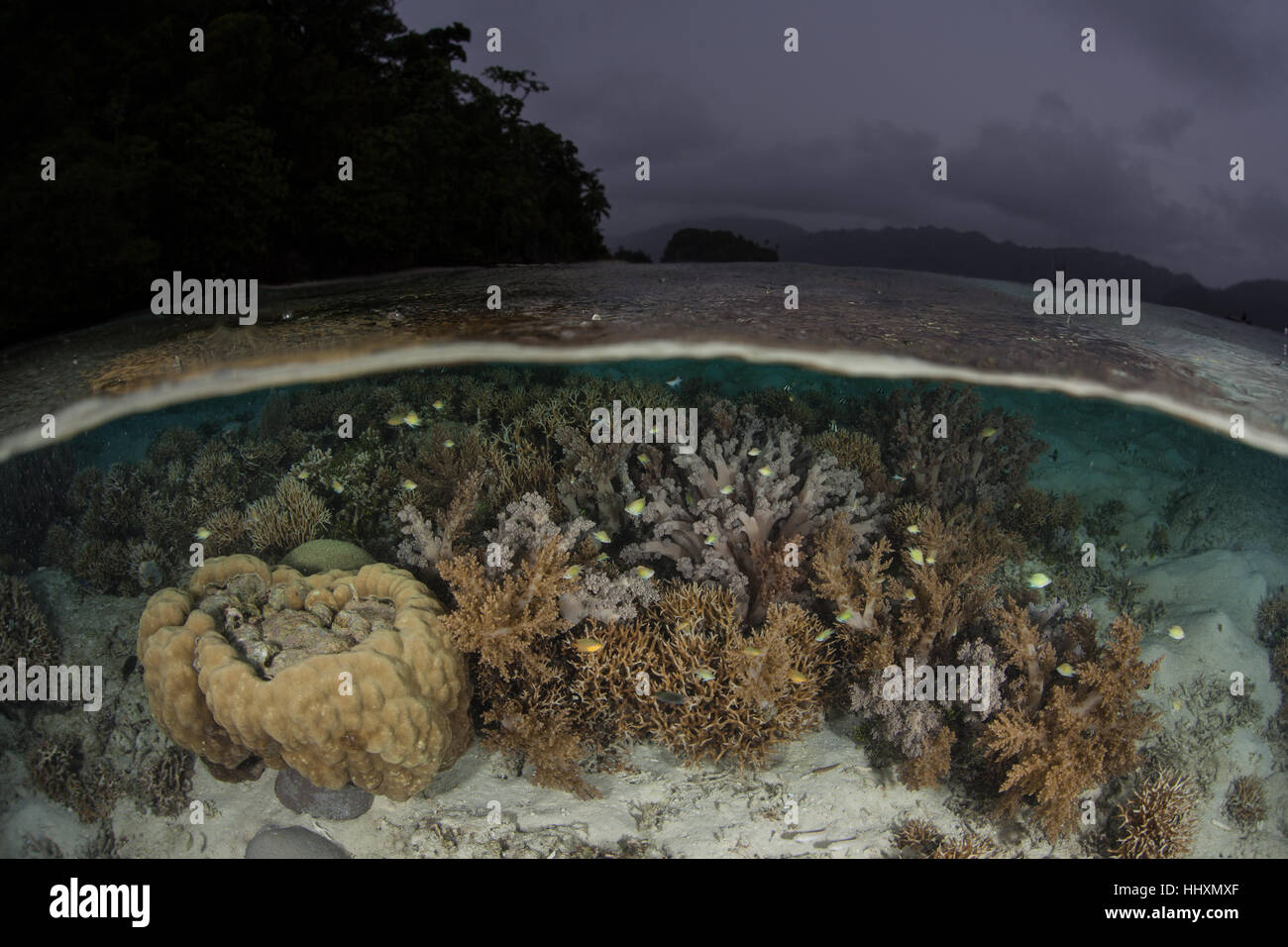 Rain clouds drift over a shallow coral reef in Raja Ampat, Indonesia ...