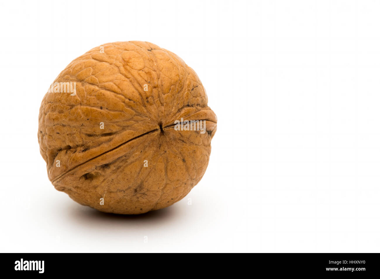 Single walnut on white background Stock Photo - Alamy