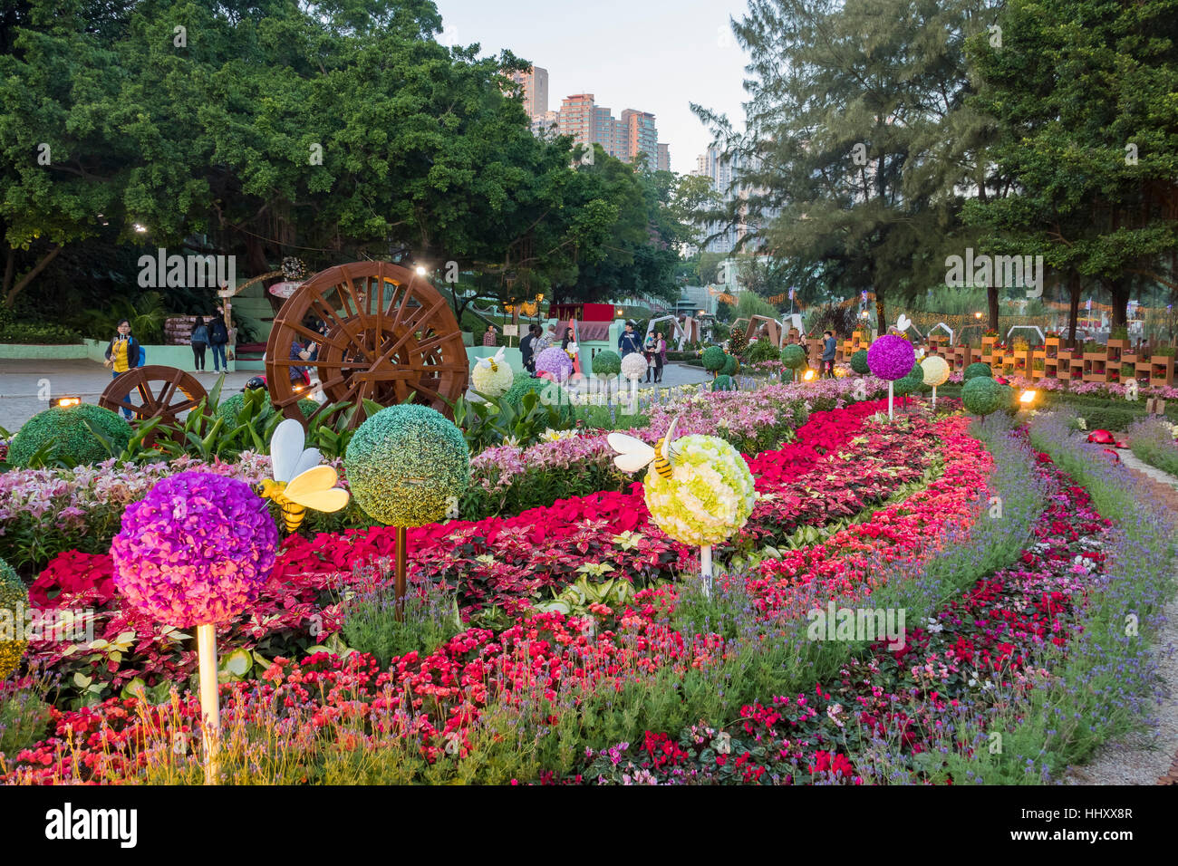 Macau flower hi-res stock photography and images - Alamy