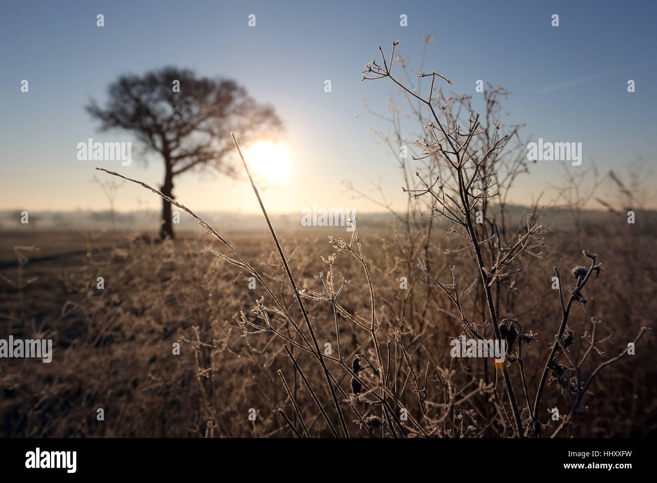 Skippets hi-res stock photography and images - Alamy