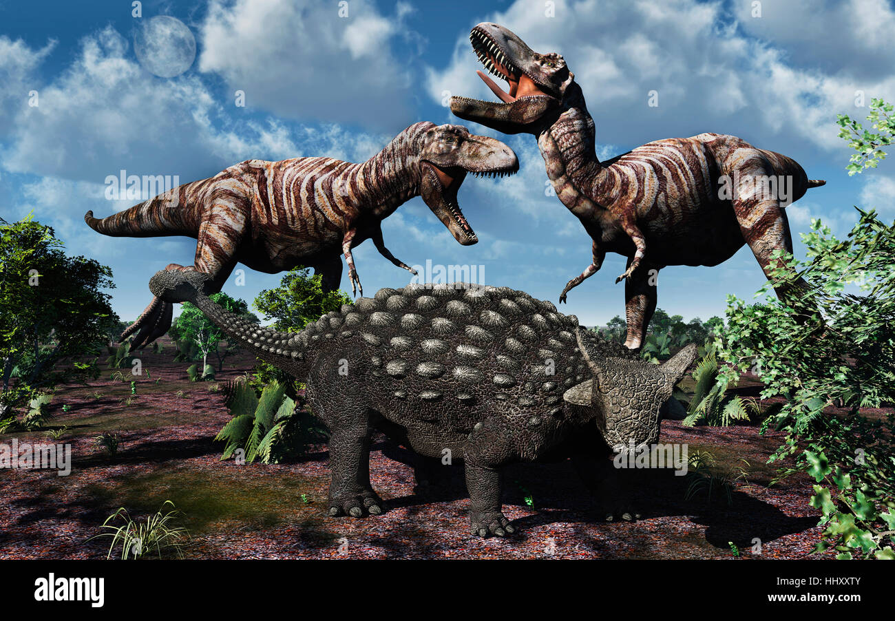 Ankylosaurus tyrannosaurus rex hi-res stock photography and images - Alamy