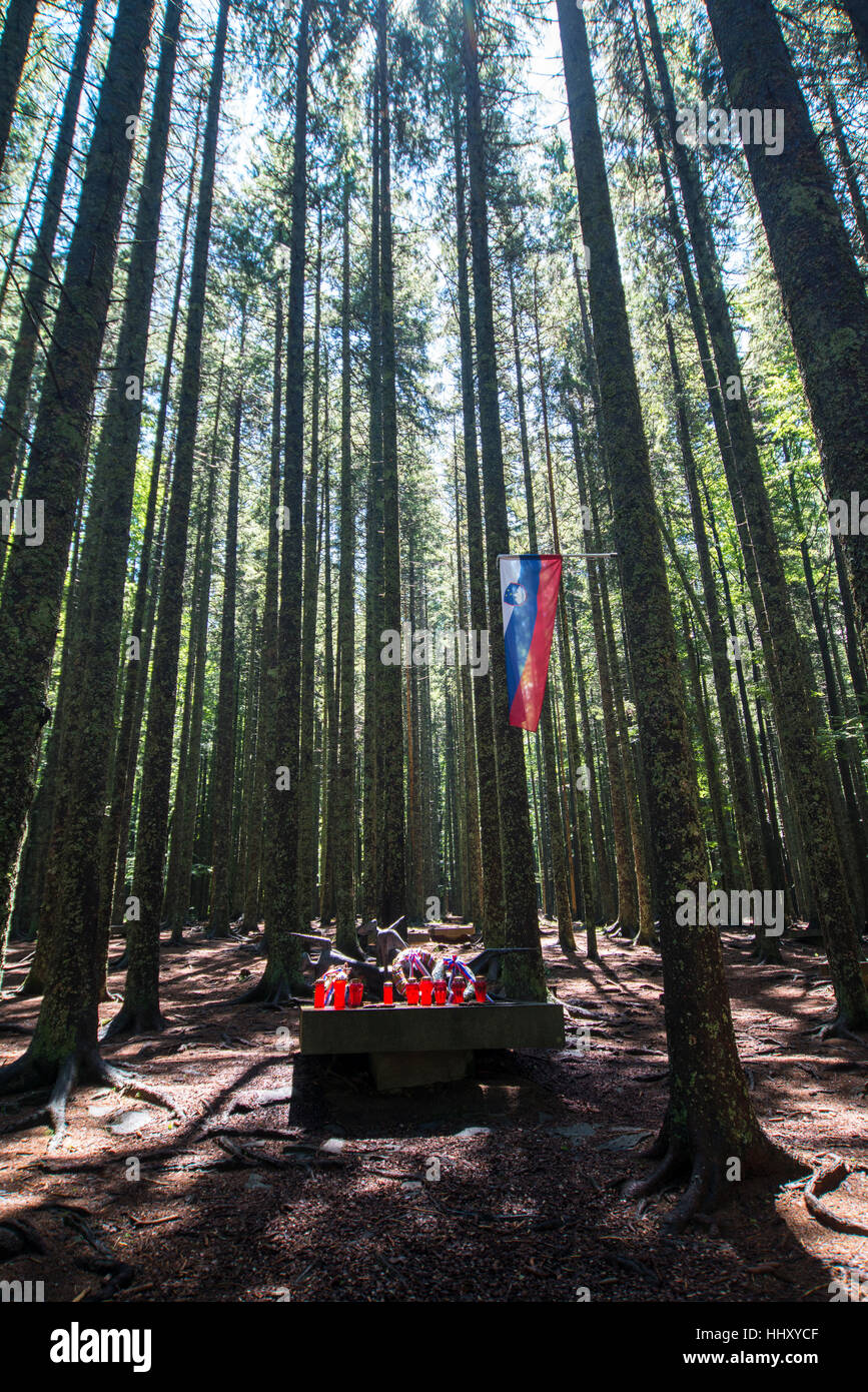 Pine tree flag hi-res stock photography and images - Alamy