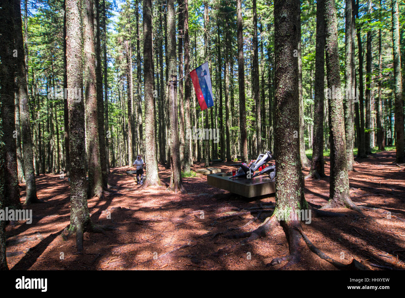 Pine tree flag hi-res stock photography and images - Alamy