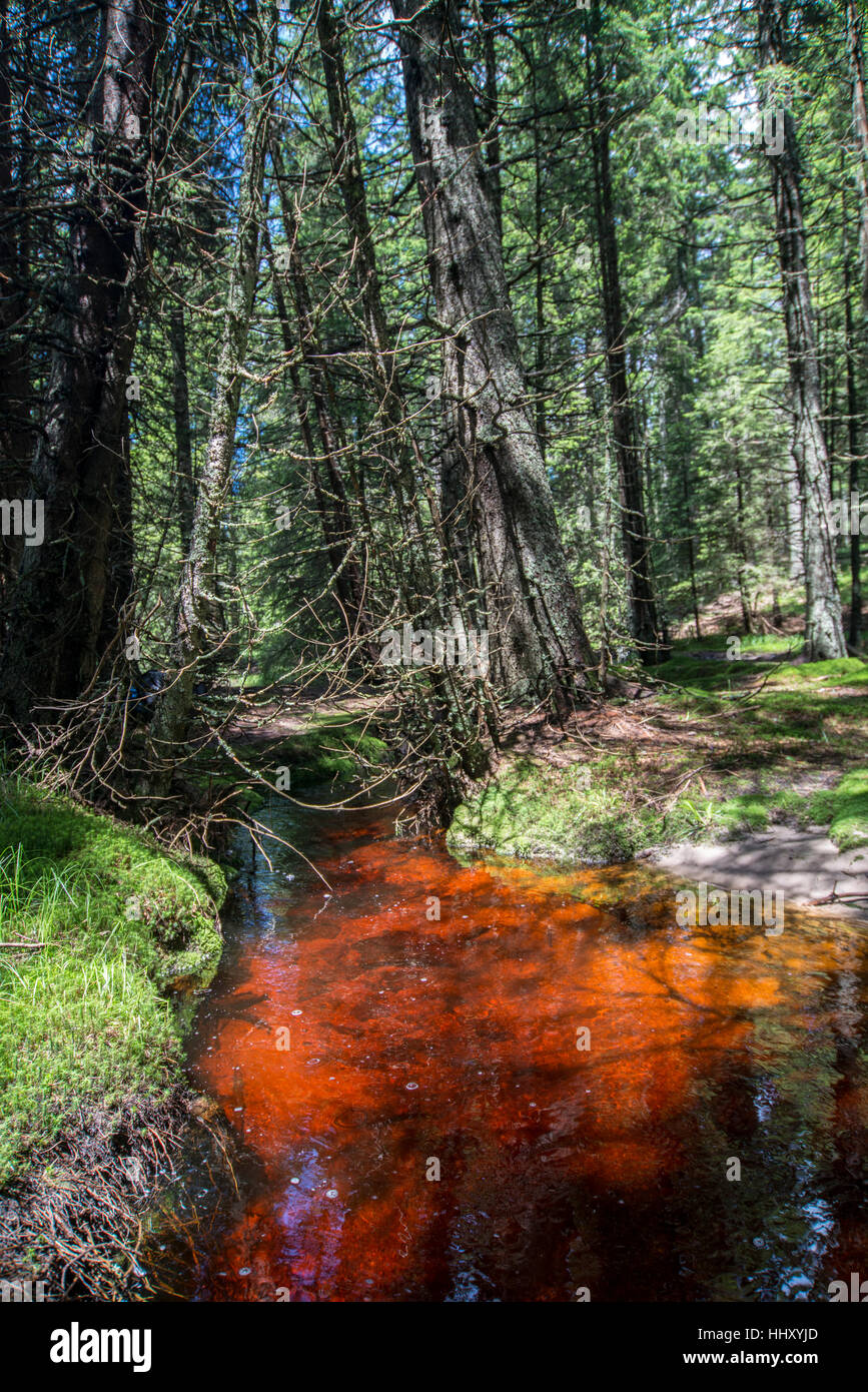 Clean red stream Stock Photo - Alamy