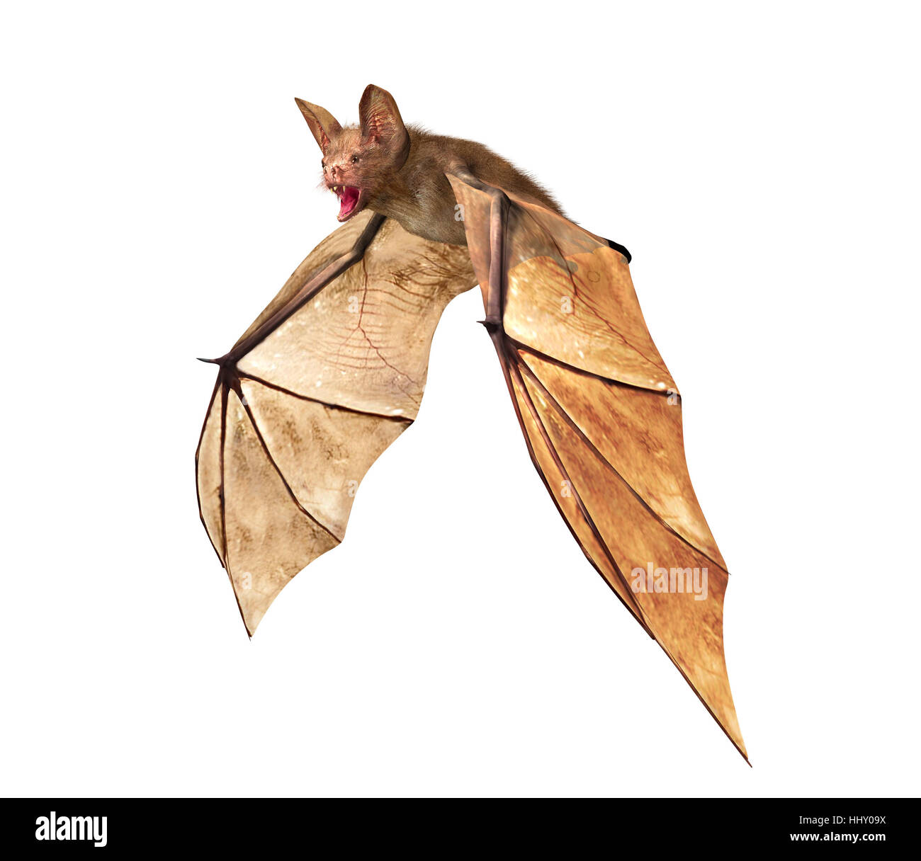 Flying Vampire bat isolated on white background Stock Photo - Alamy