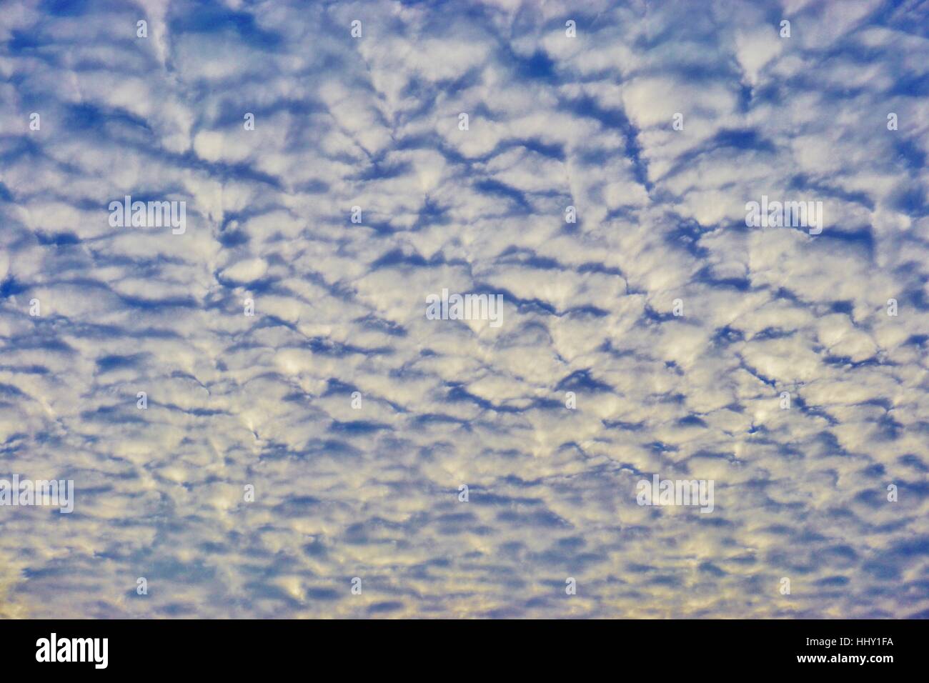 Cloud texture hi-res stock photography and images - Alamy