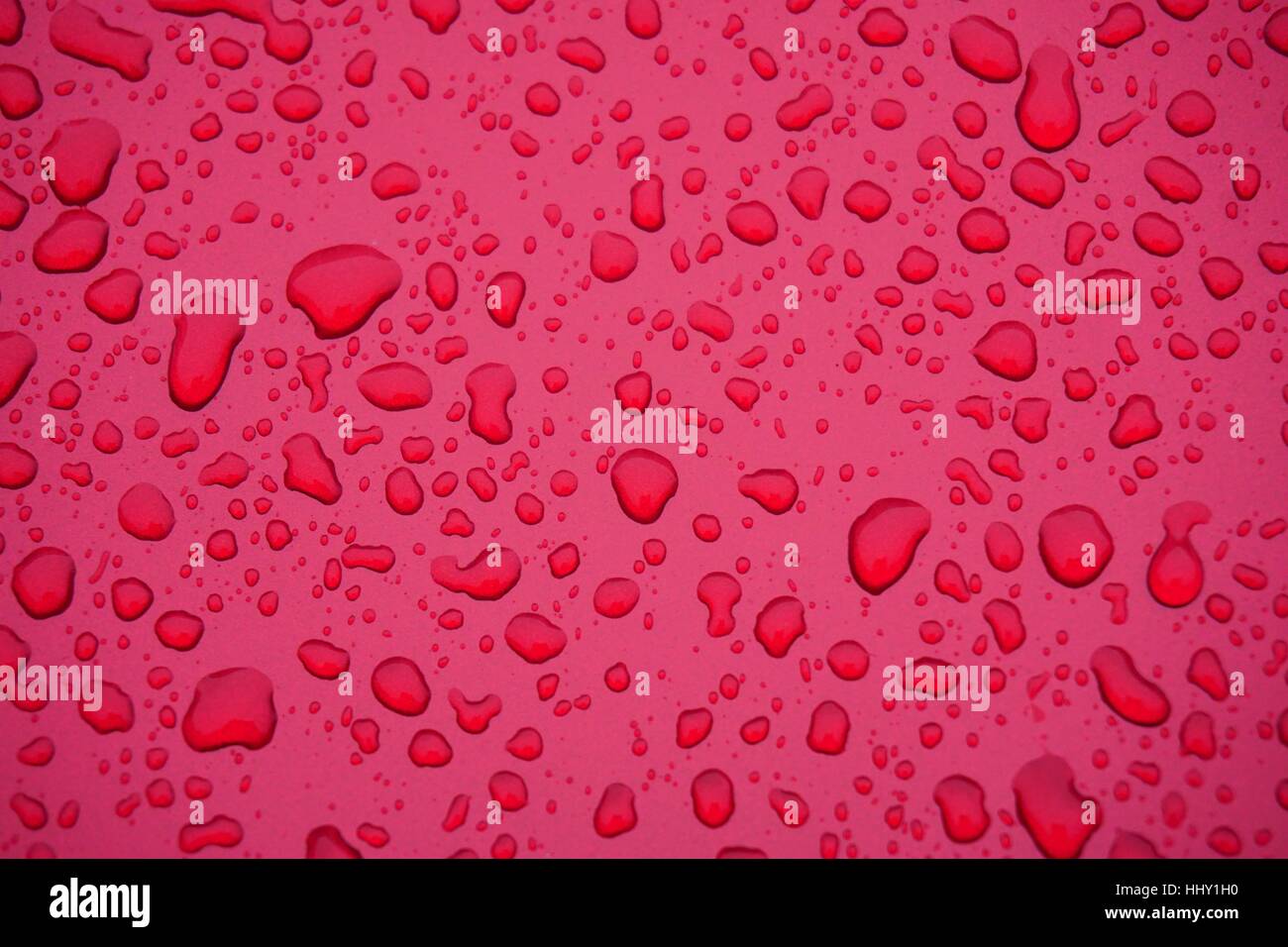 Droplets of rain on a red metallic background Stock Photo - Alamy