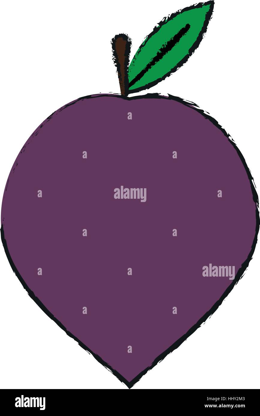 Plum growth Stock Vector Images - Alamy