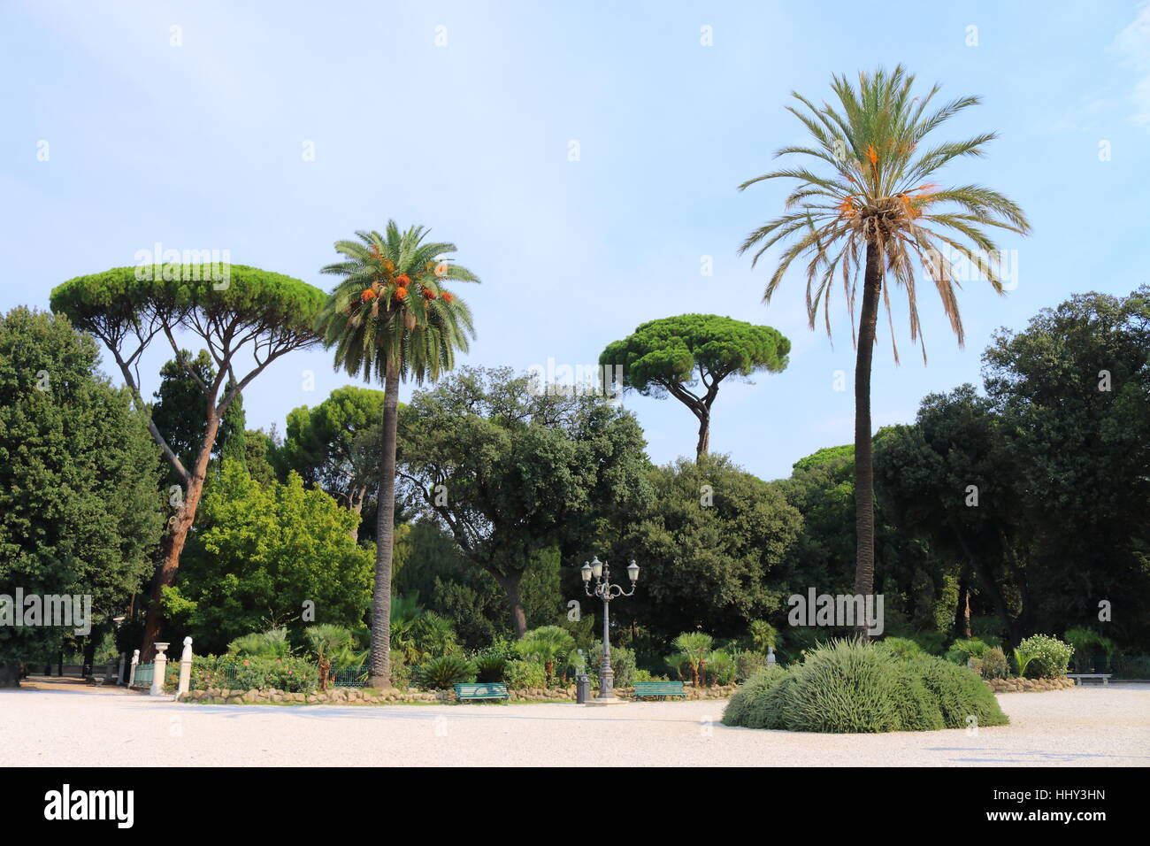 Villa borghese pine trees hi-res stock photography and images - Alamy