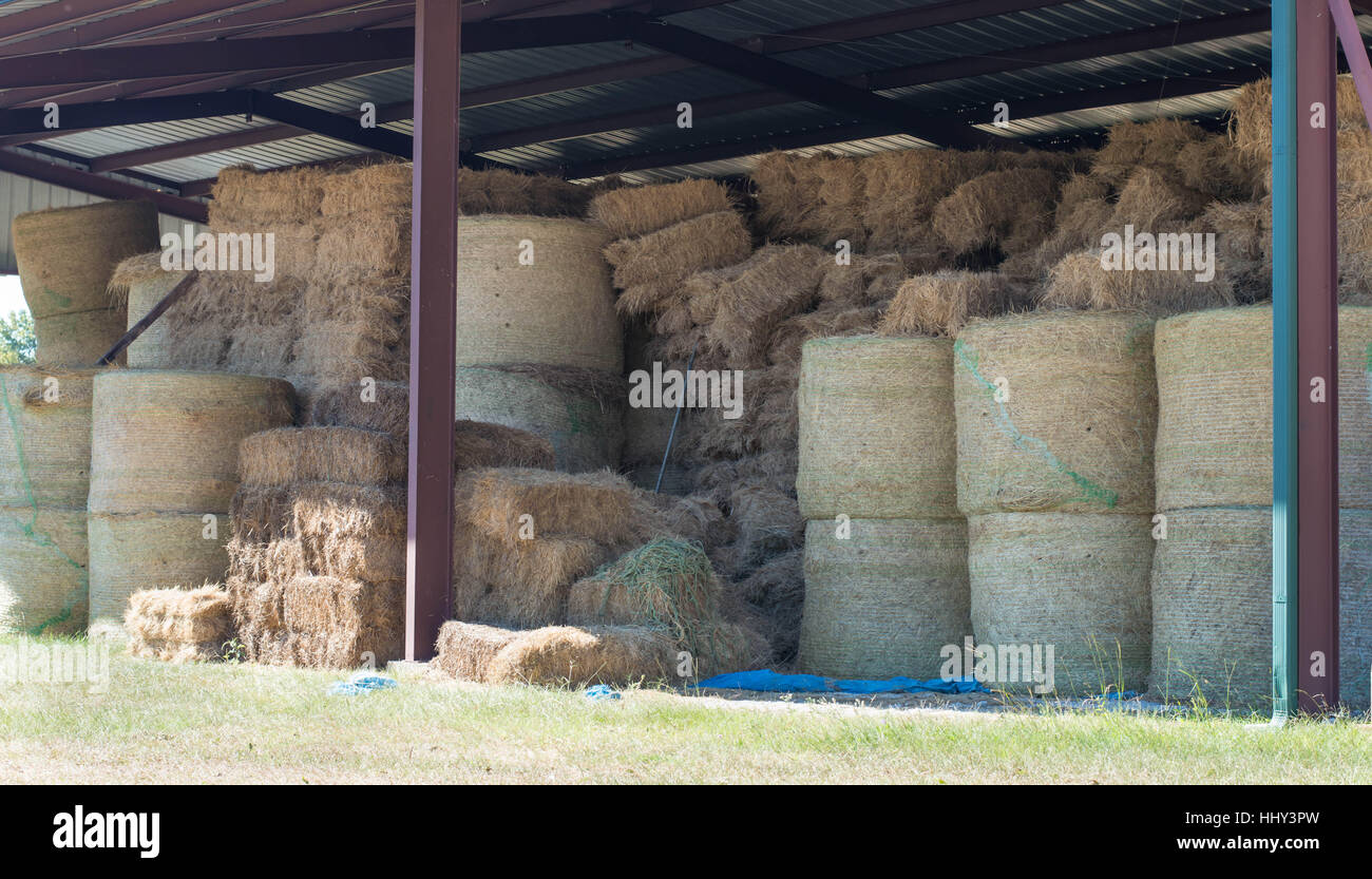 assorted hay bales Stock Photo - Alamy