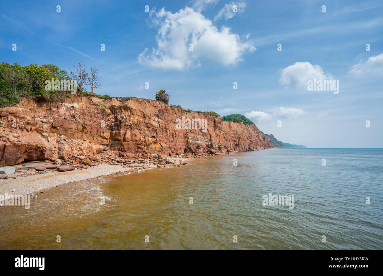 Devon cliff england hi-res stock photography and images - Alamy