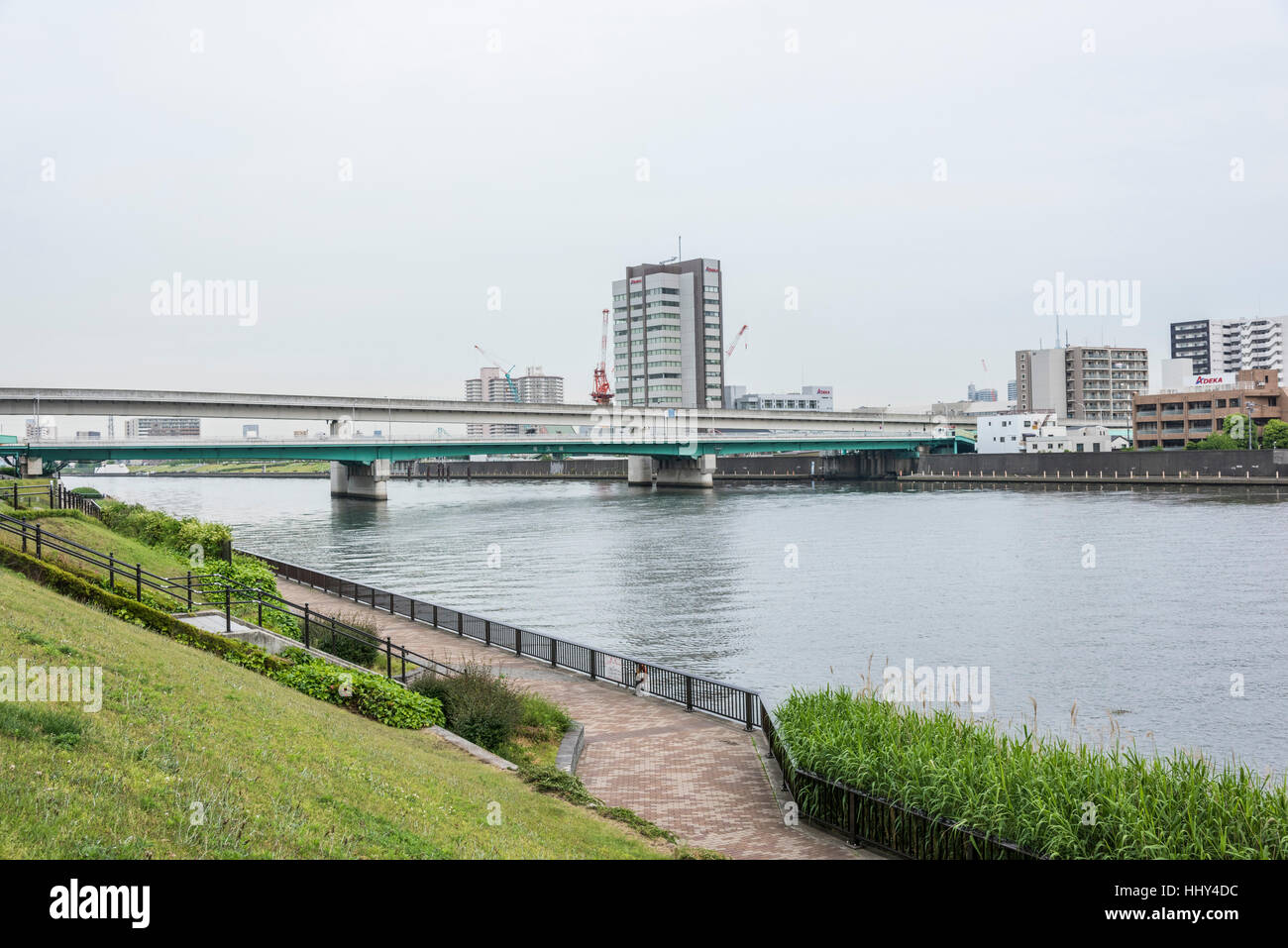 Nippori Toneri Liner and Ogu Bridge, Sumida River Bridge,Tokyo,Japan ...