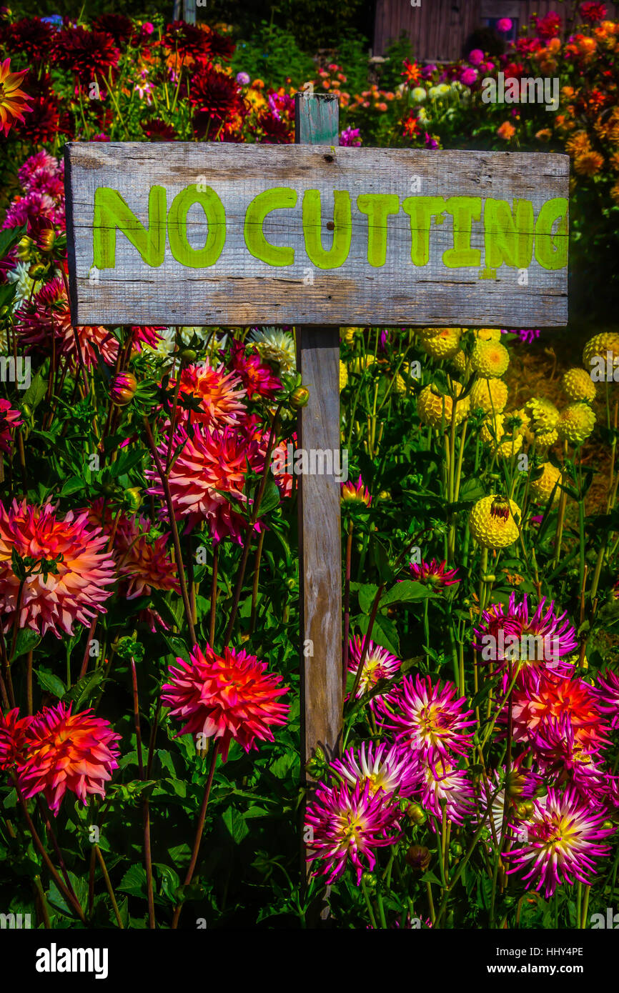 Fragile plants sign hi-res stock photography and images - Alamy