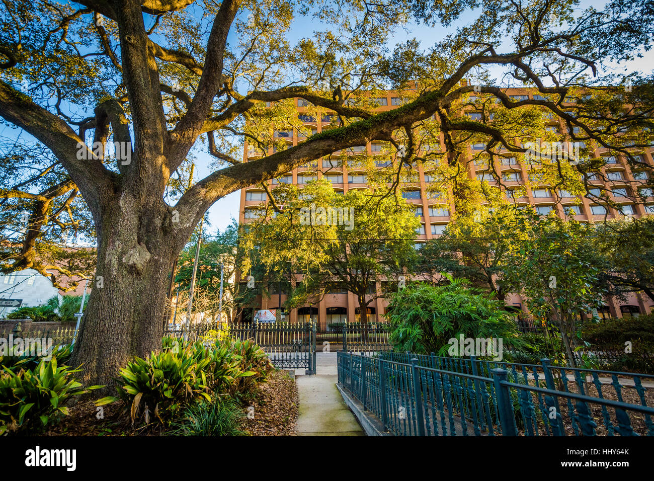 Mobile on the tree hi-res stock photography and images - Alamy