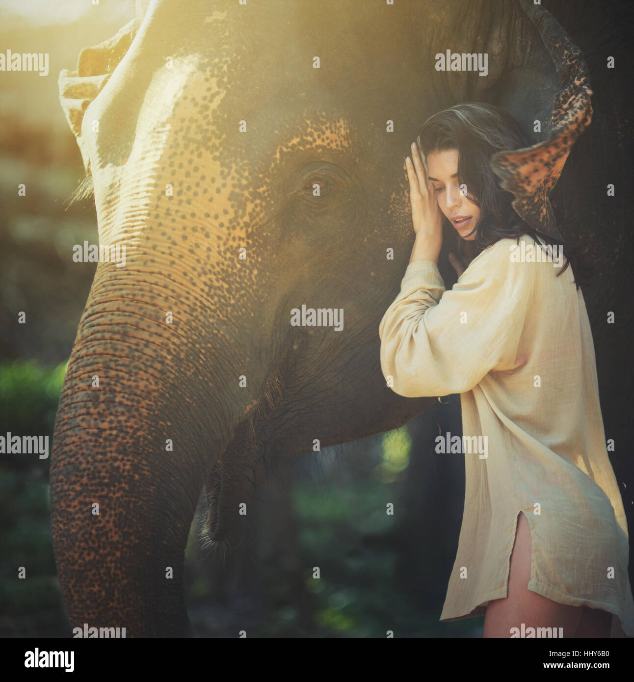 Woman Asia Elephant High Resolution Stock Photography and Images - Alamy