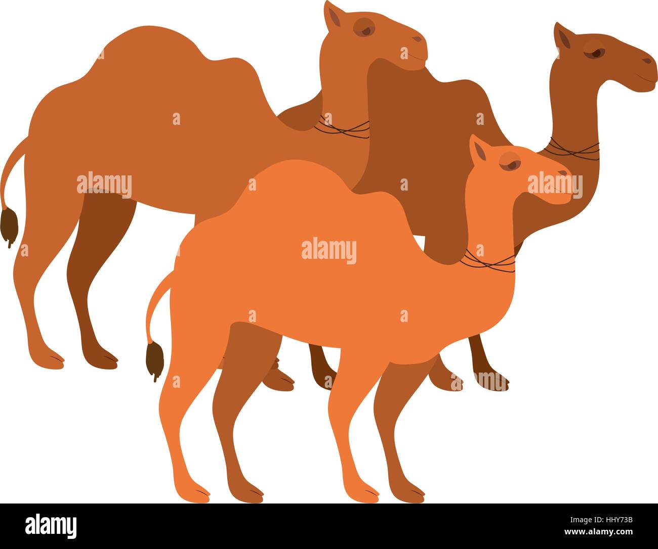 animal figure of camels cartoon vector illustration Stock Vector Image ...