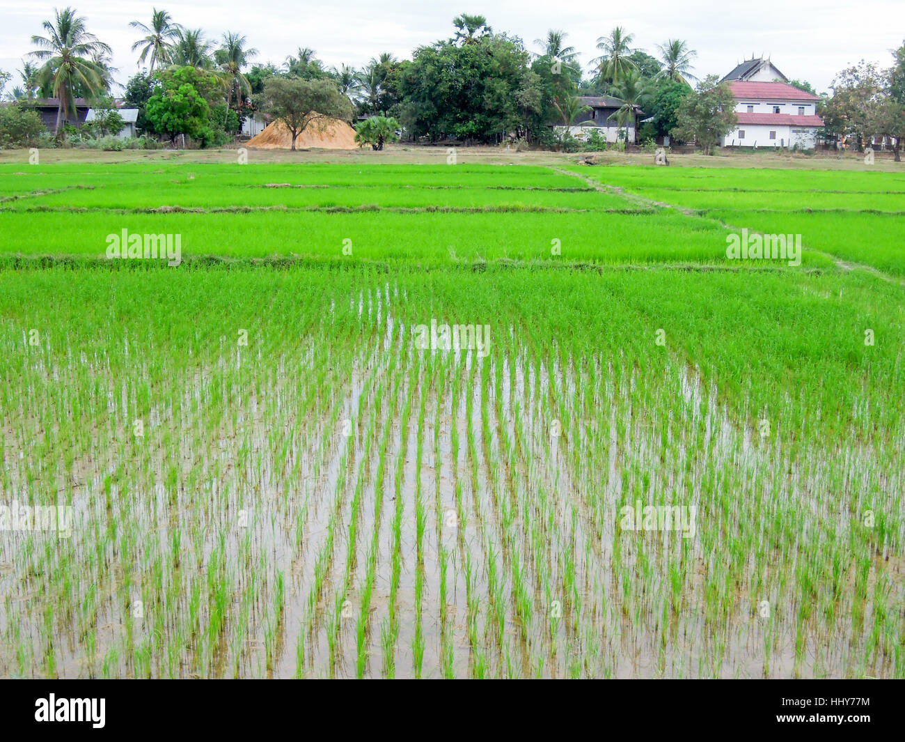 Laos ecology hi-res stock photography and images - Alamy