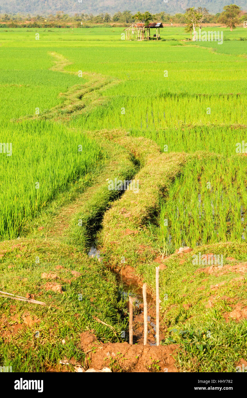Laos ecology hi-res stock photography and images - Alamy
