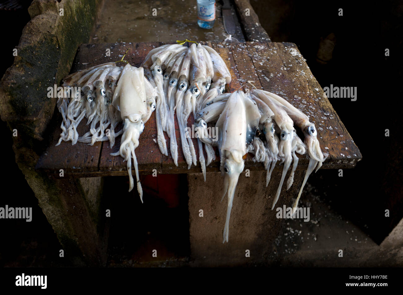 Fish for sale in Stone Town, Zanzibar Stock Photo - Alamy