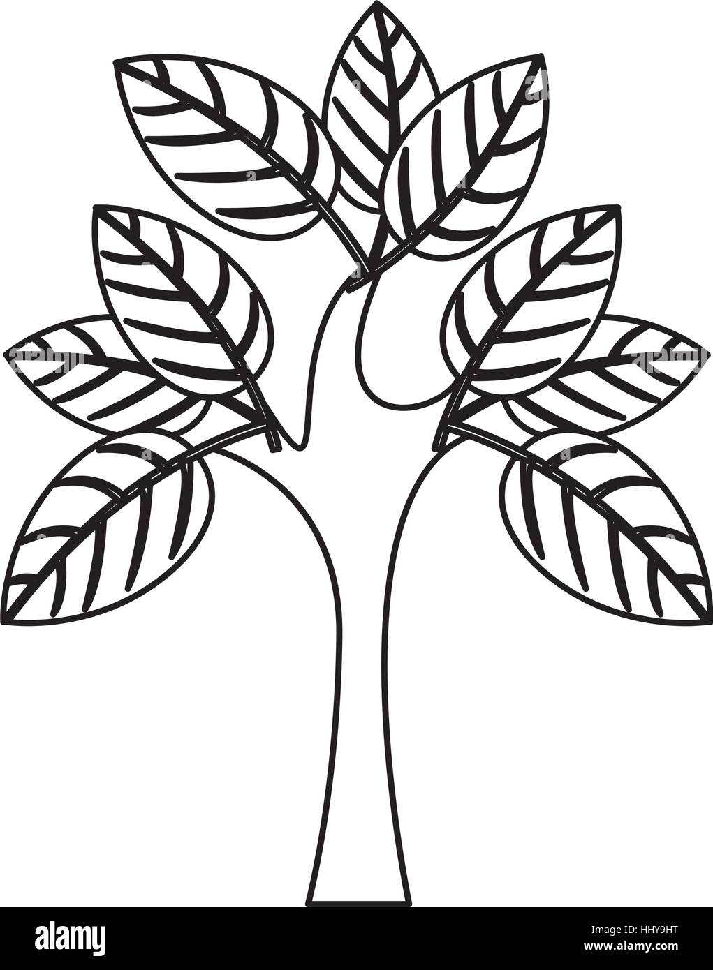 silhouette tree with multiple leafy branches vector illustration Stock ...