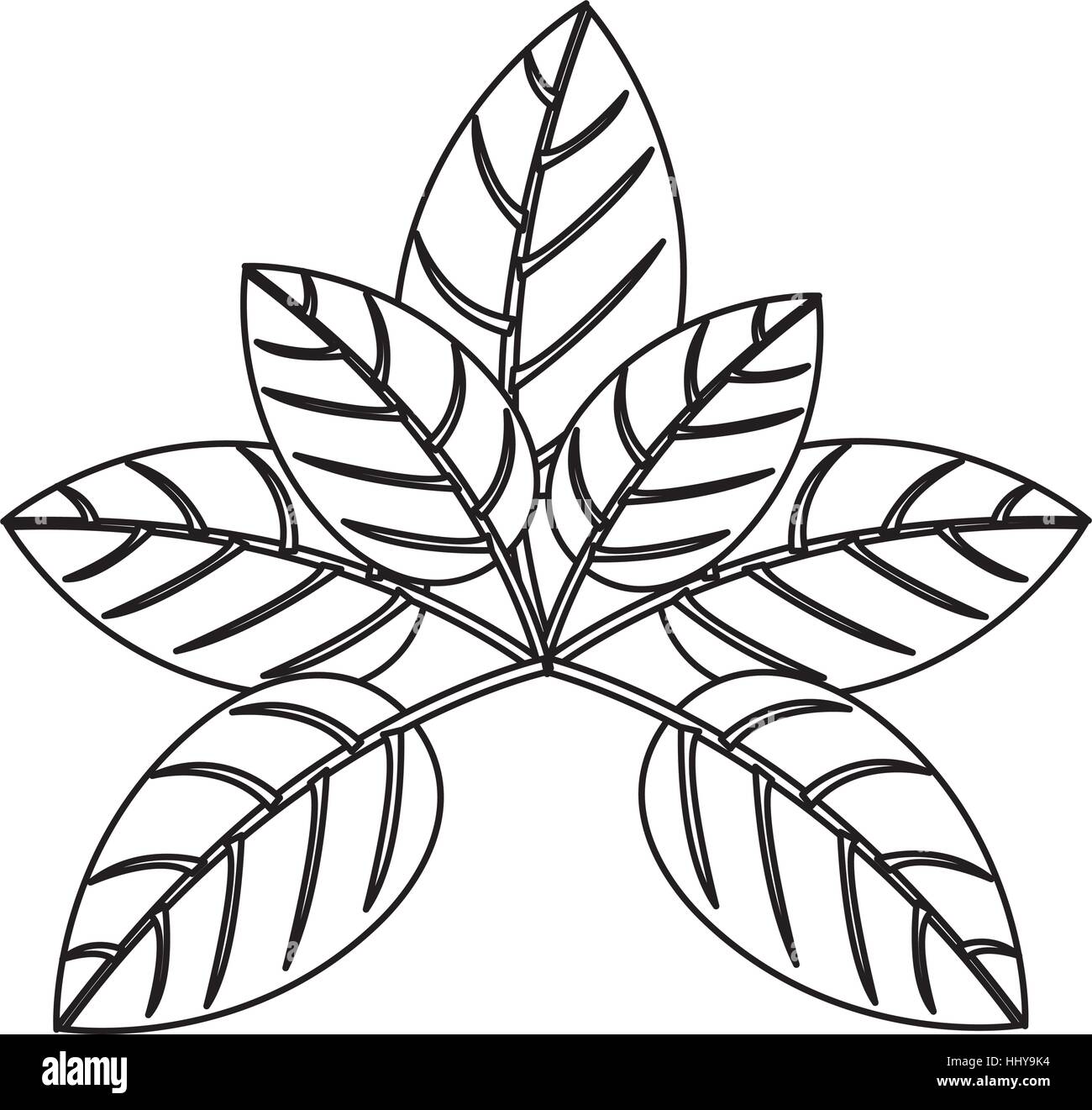 silhouette of leaves with ramifications vector illustration Stock ...