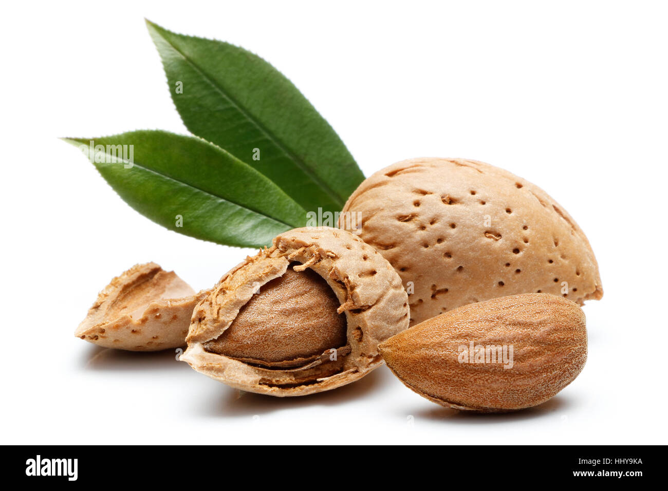 Almond, broken almond and leaves Stock Photo - Alamy