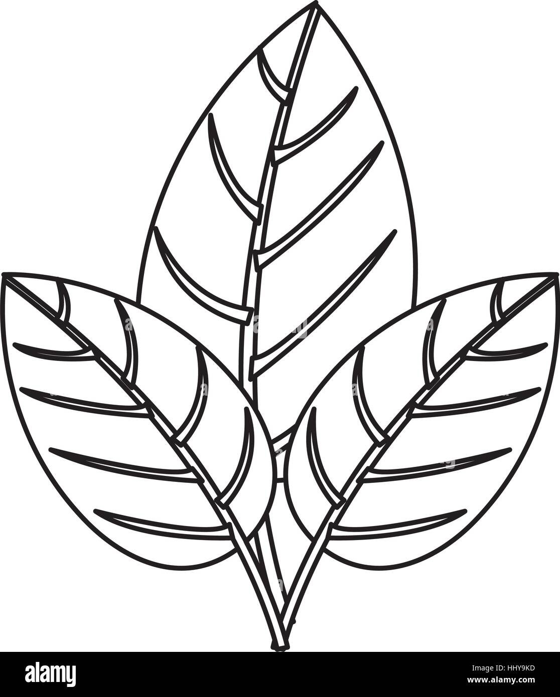 contour three leaves with ramifications vector illustration Stock ...