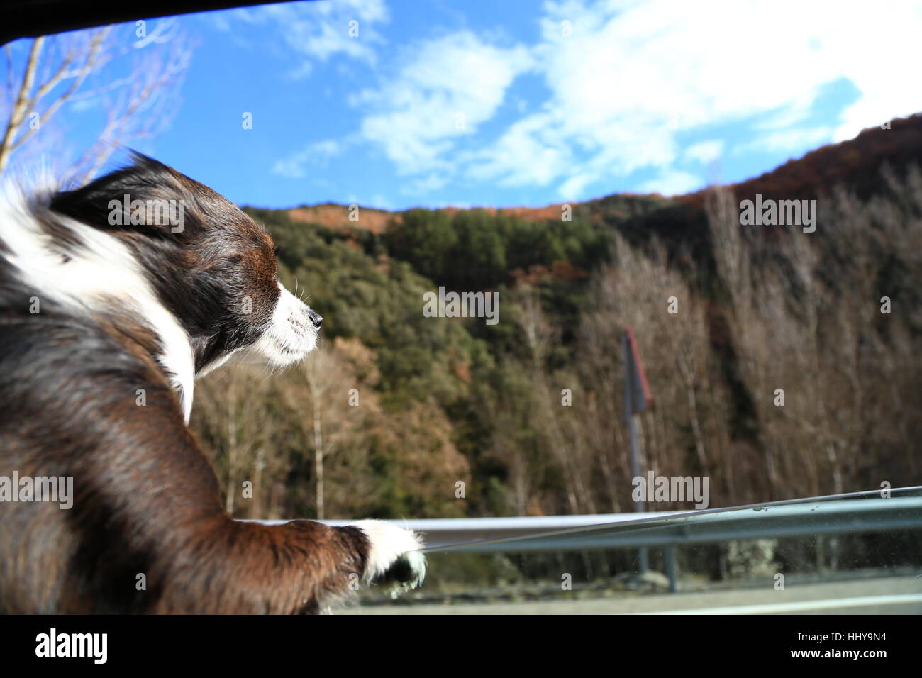 Feeling the air hi-res stock photography and images - Alamy