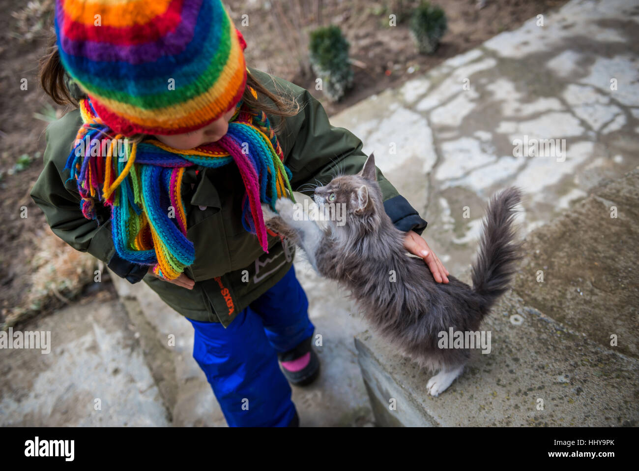 dorable little girl with met a cat Stock Photo - Alamy