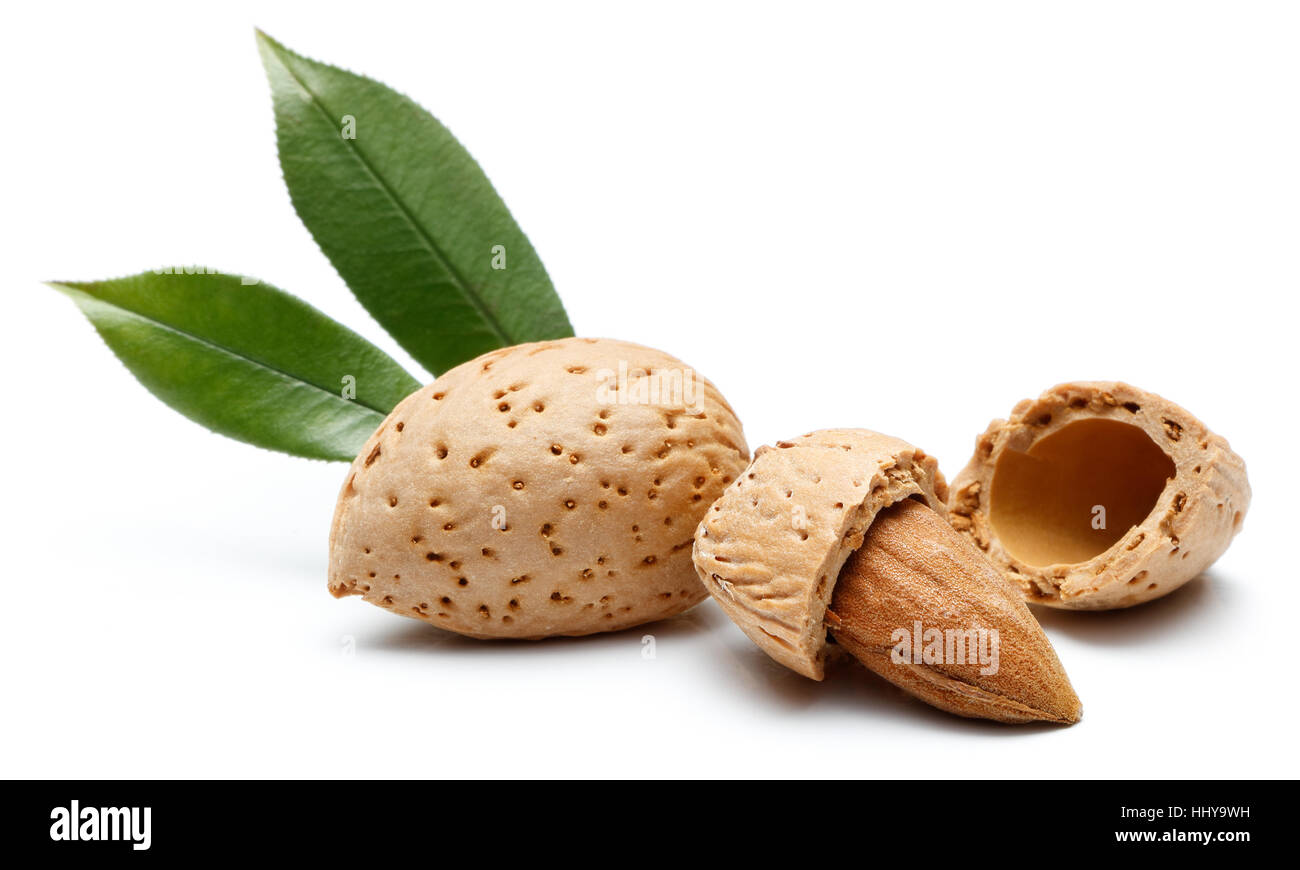 Almond, broken almond and leaves Stock Photo - Alamy