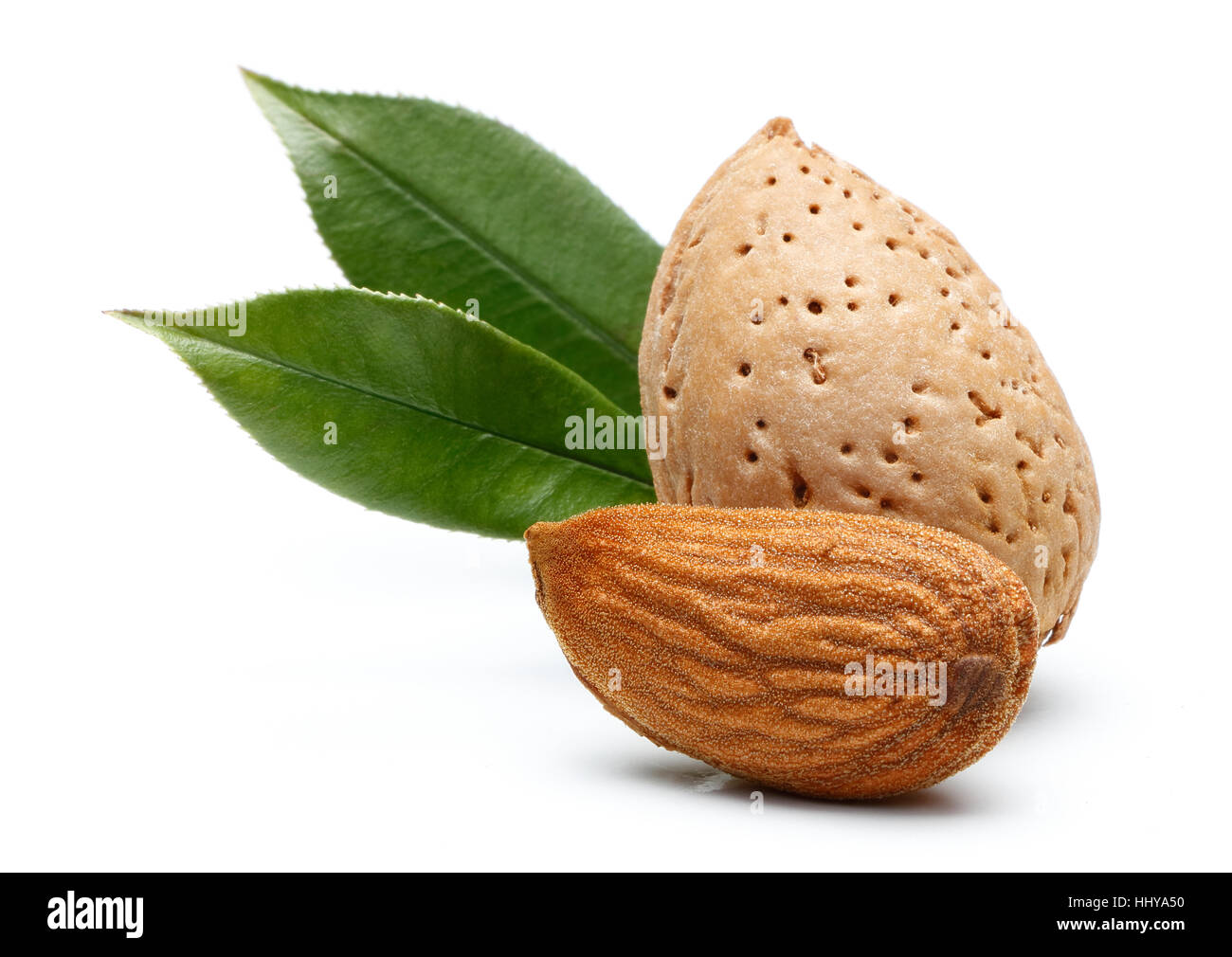 Almonds nut isolated Stock Photo - Alamy
