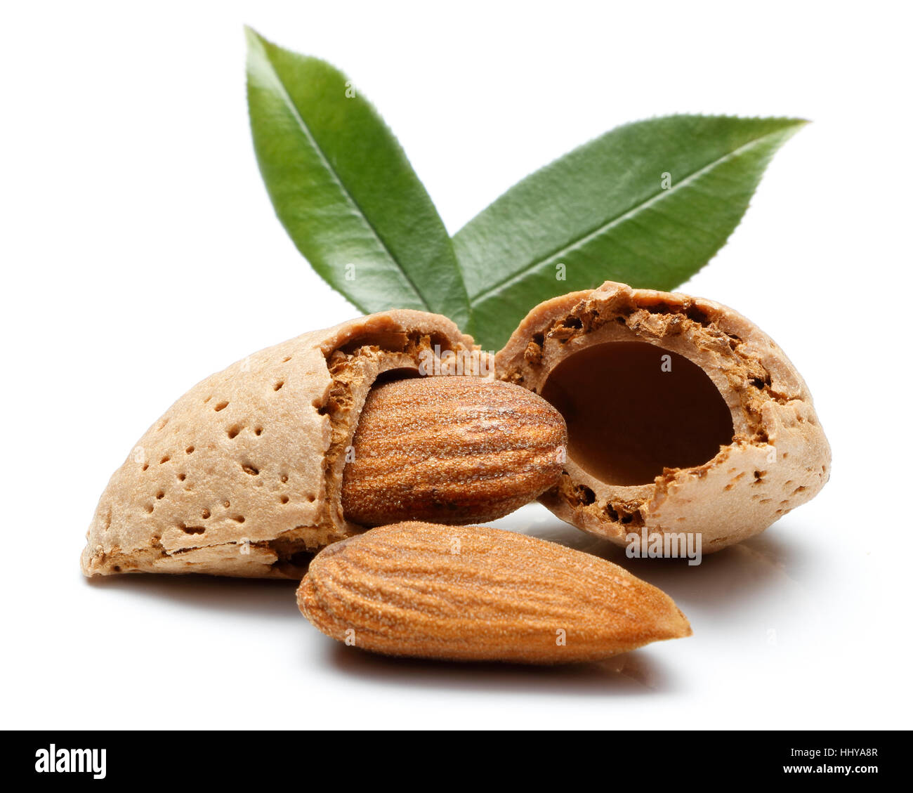 Almond, broken almond and leaves Stock Photo - Alamy