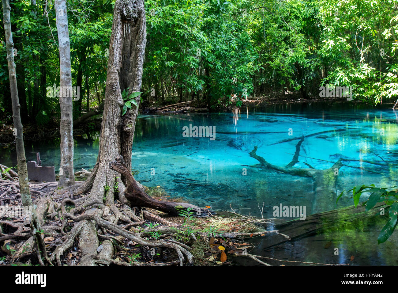 Sra Morakot Blue Pool at Krabi Province, Thailand Stock Photo - Alamy