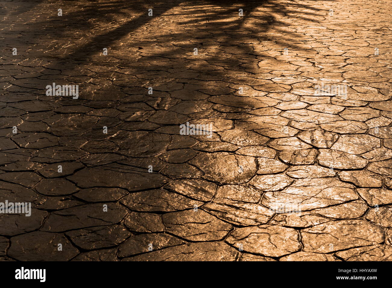 Stamp concrete texture pattern and background, and reflection of ...