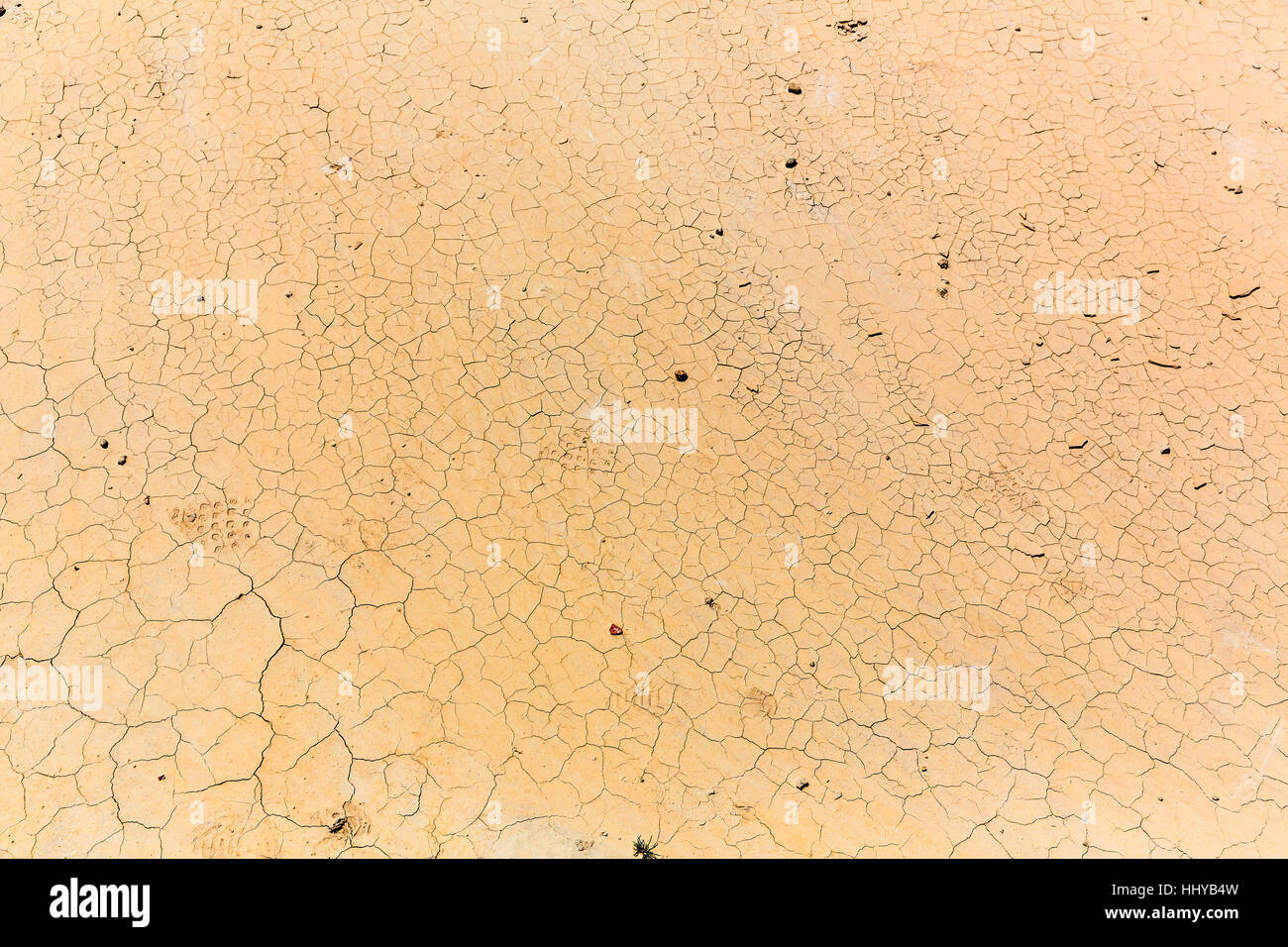 Cracked dry soil Stock Photo - Alamy