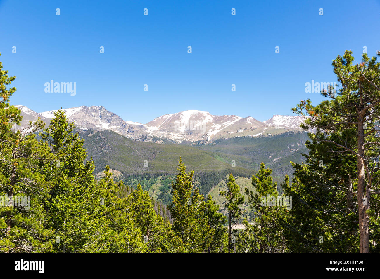 Valley landscape with green forest in usa Stock Photo - Alamy