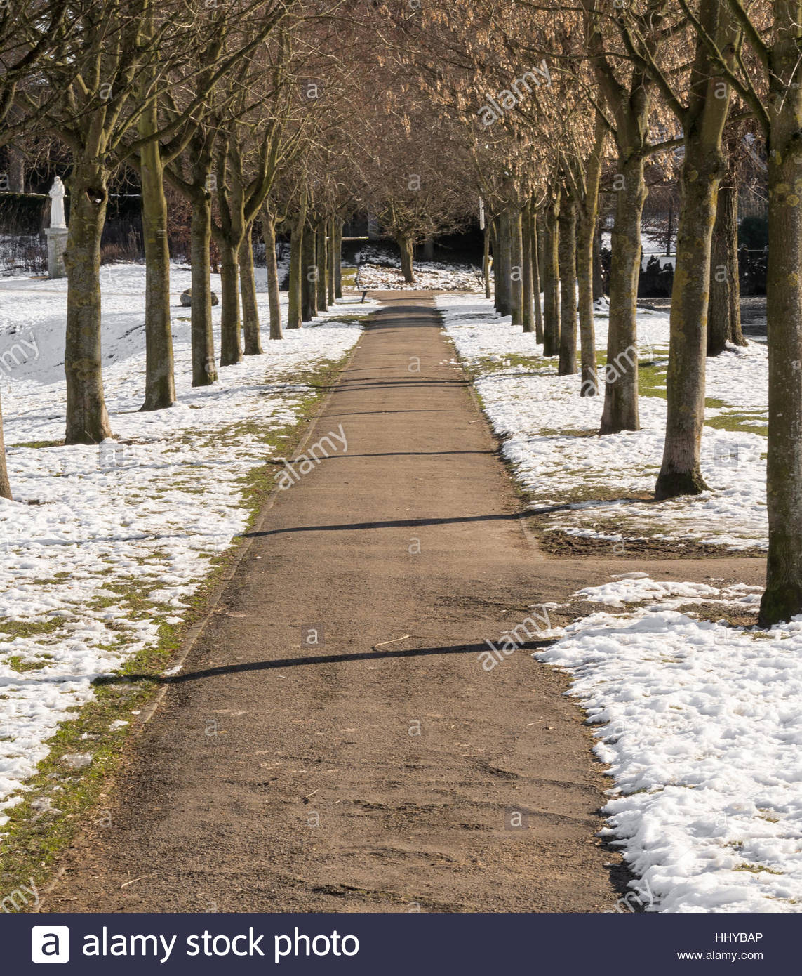 Symmetrical Leaves Stock Photos & Symmetrical Leaves Stock Images - Alamy