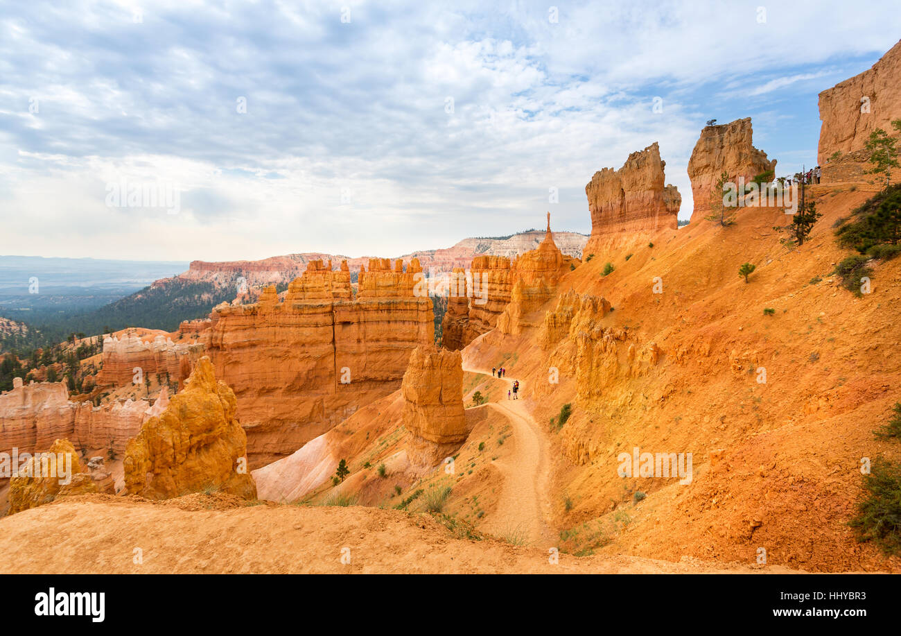 Bryce Canyon landscape from the top of mountain Stock Photo - Alamy