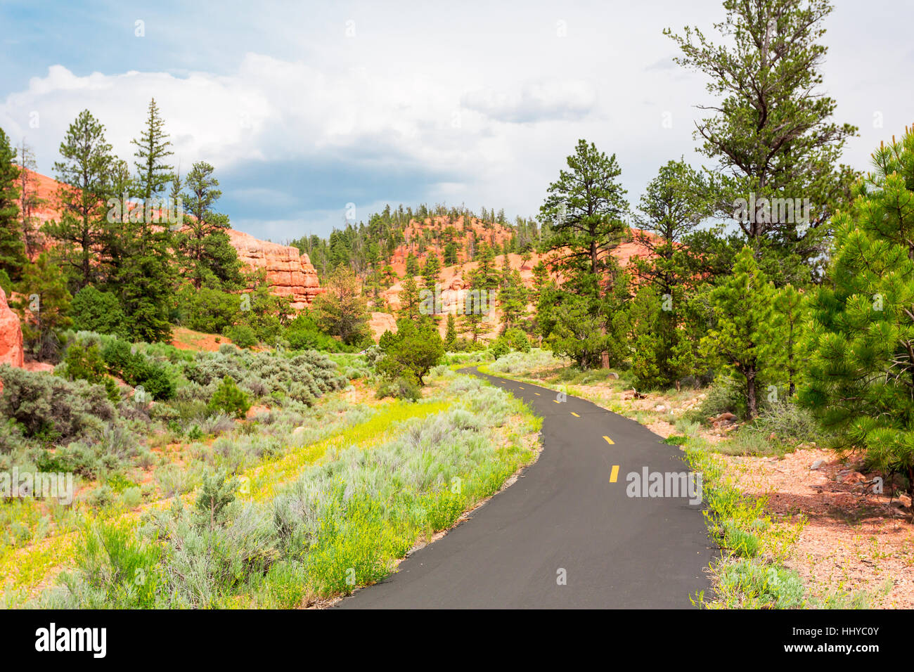 Mountain road at Bryce Canyon National Park Stock Photo - Alamy